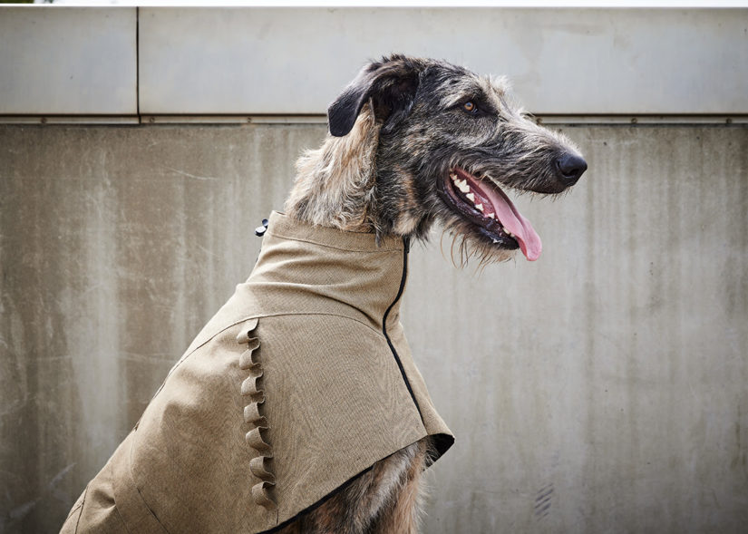 Vollebak presenta la chaqueta Apocalypse para perros