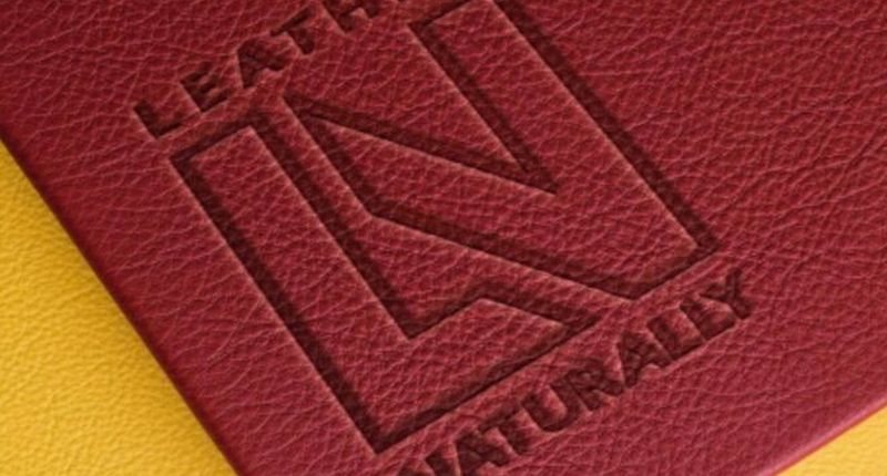 Leather Naturally estudia el ciclo de vida del cuero y su gestión ...