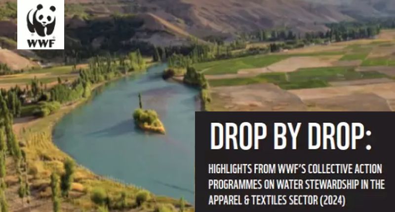 WWF revisa la gestión del agua y el impacto del textil en 2024 - Pinker ...